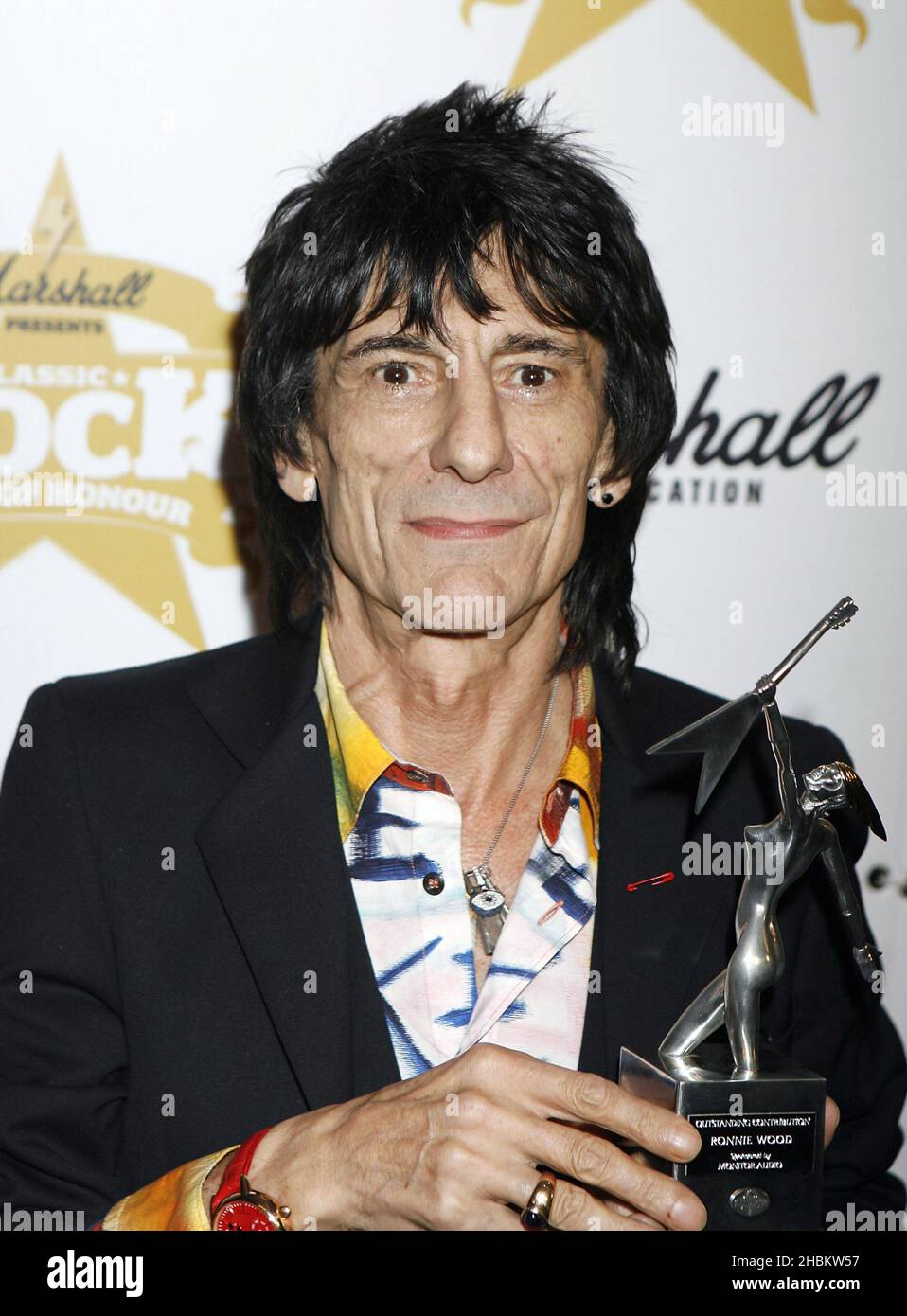 Ronnie Wood from the Rolling Stones with his Outstanding Contribution ...