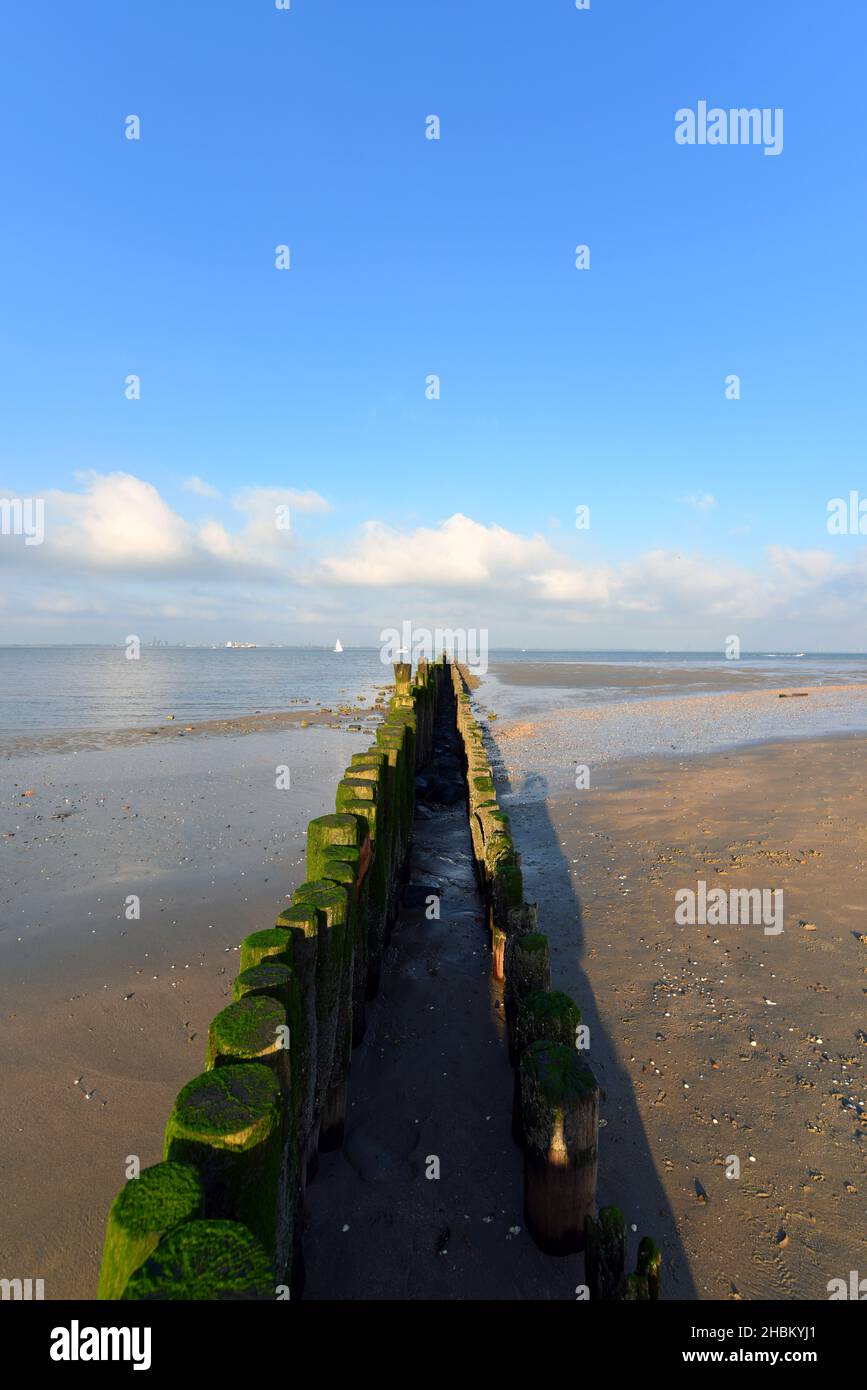 A vertical shot of a beach and wooden barriers on it in Breskens, The ...