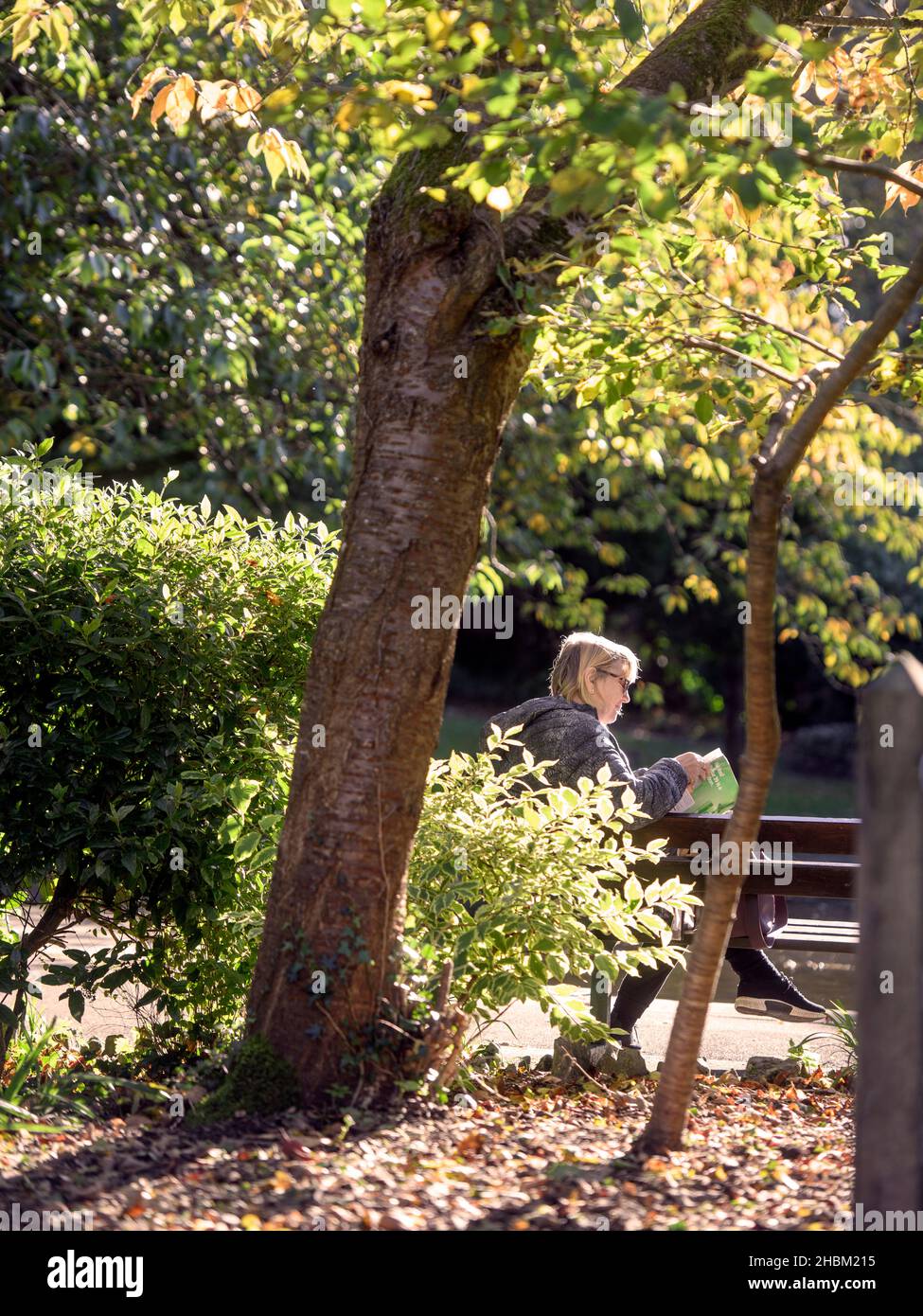 A lady reading in Collett Park in Shepton Mallet, Somerset today Stock ...
