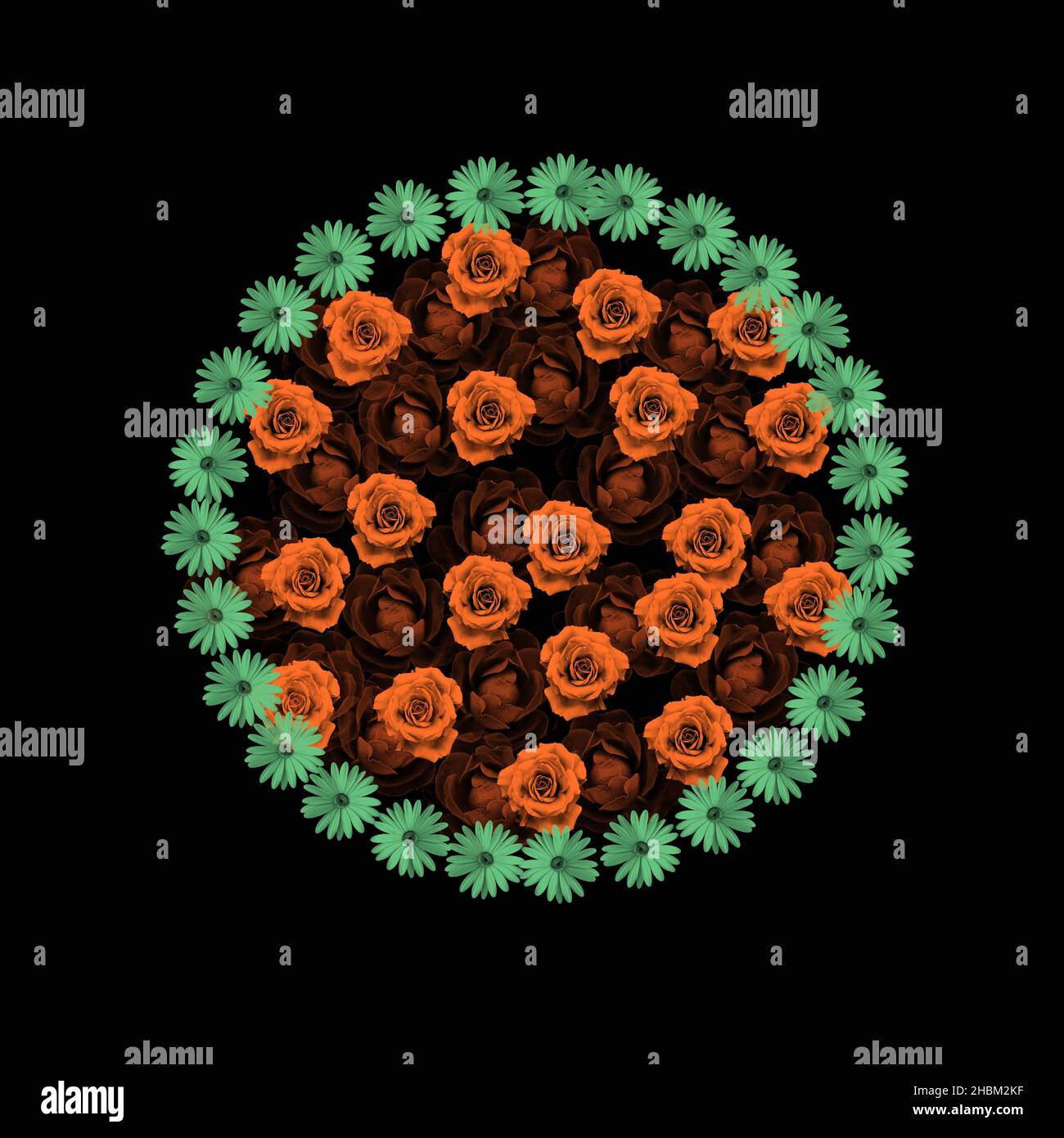 A circular floral composition on a black background Stock Photo - Alamy
