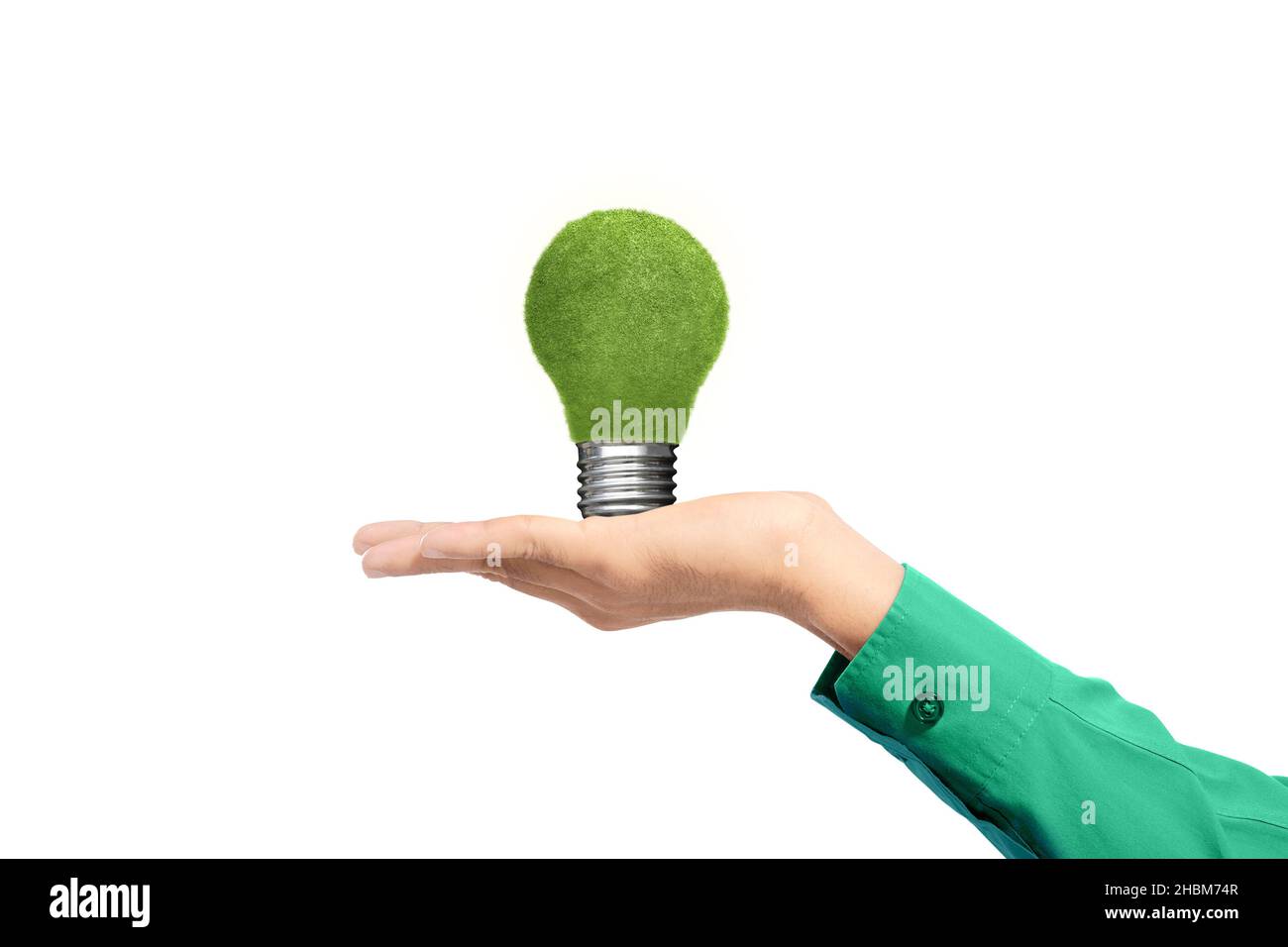 Hand holding grass bulb isolated over white background Stock Photo - Alamy
