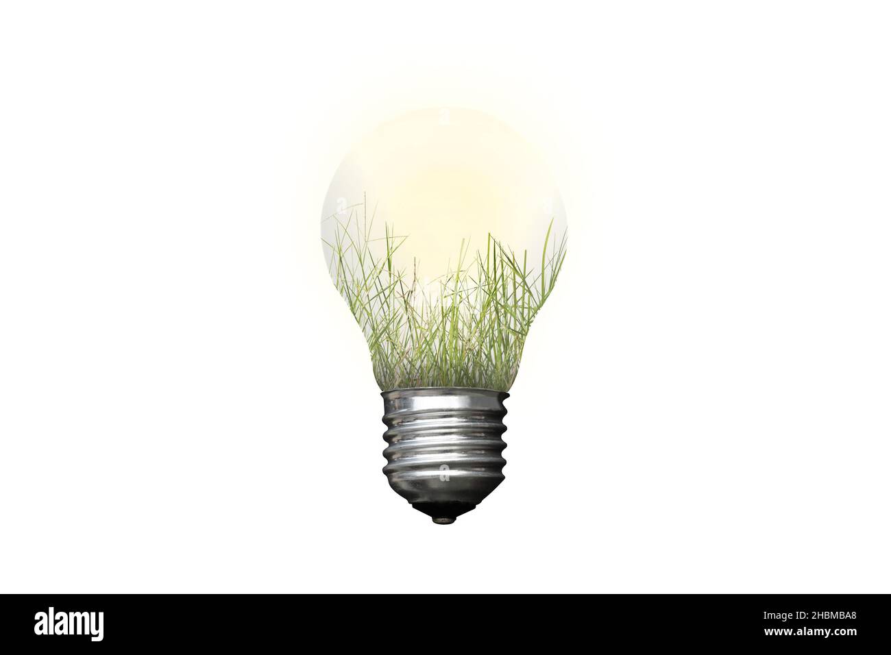 Grass inside the light bulb isolated over white background Stock Photo ...