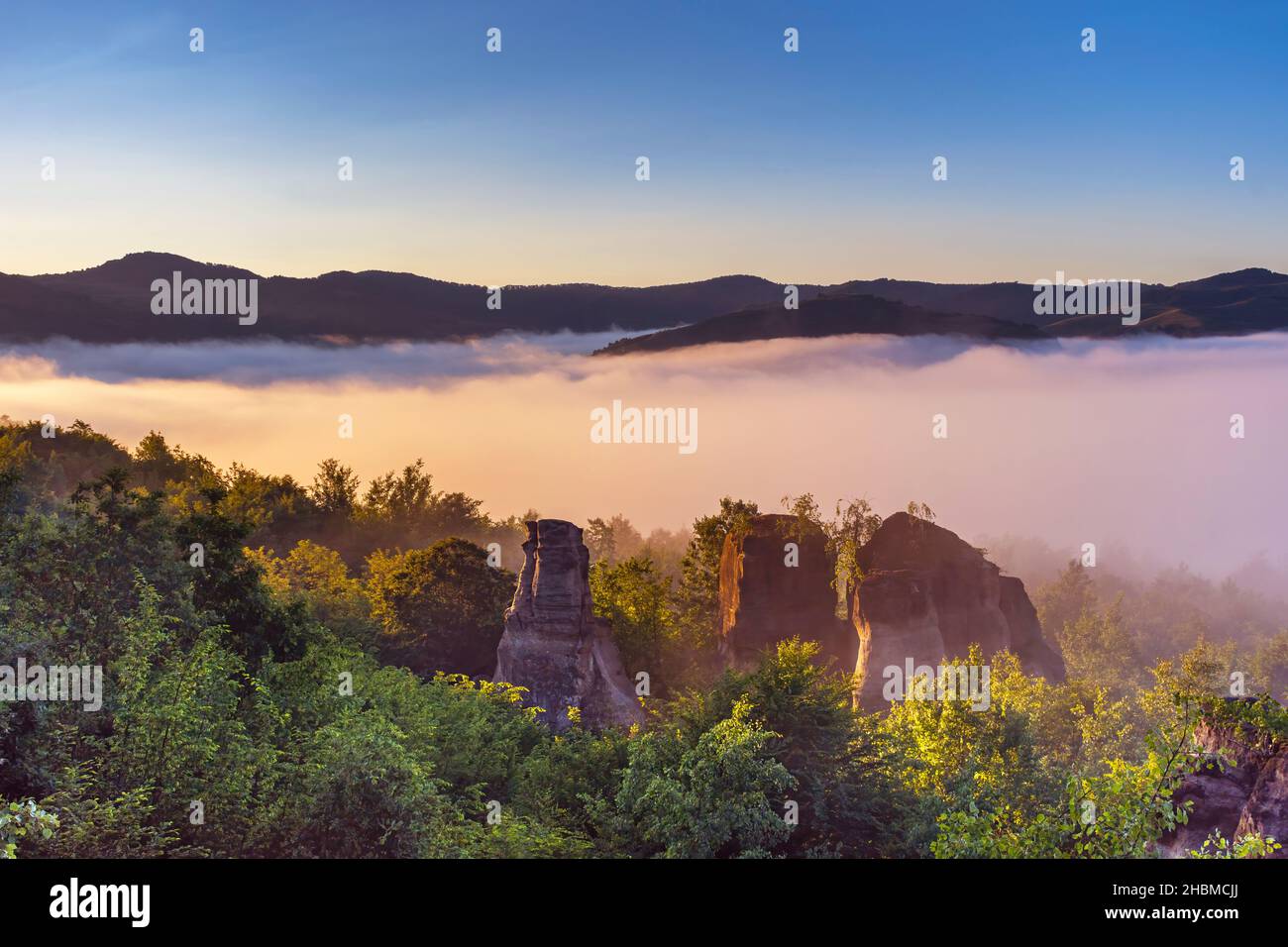 Protected by dragons hi-res stock photography and images - Alamy