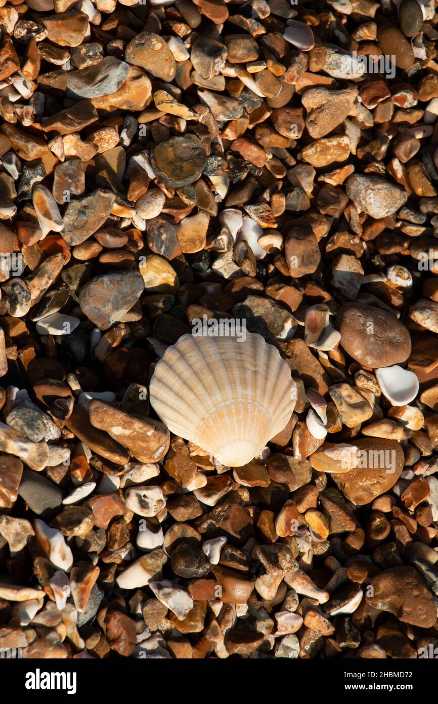 Rocks and beaches hi-res stock photography and images - Alamy