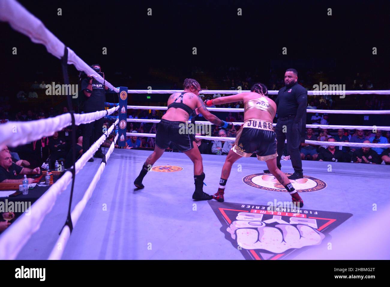 MIAMI, FLORIDA - DECEMBER 17: Fighters Sarah Click vs Patricia Juarez ...