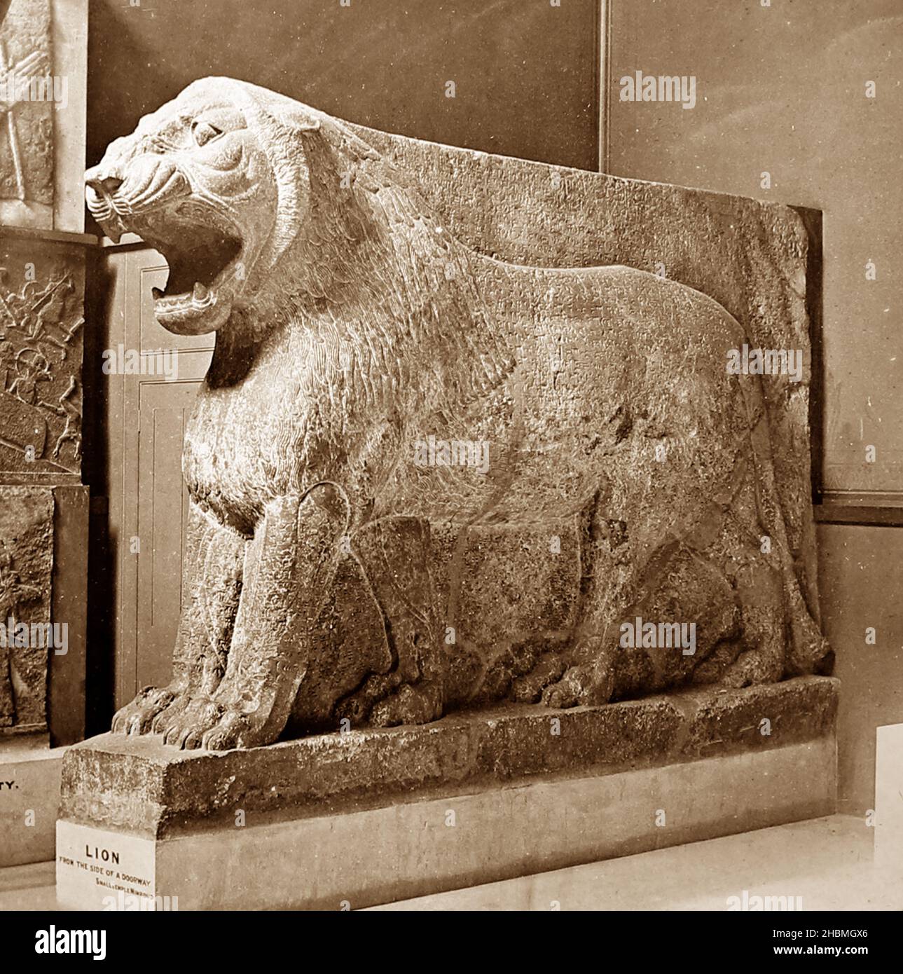 Statue of lion, Nimroud, British Museum, Victorian period Stock Photo ...