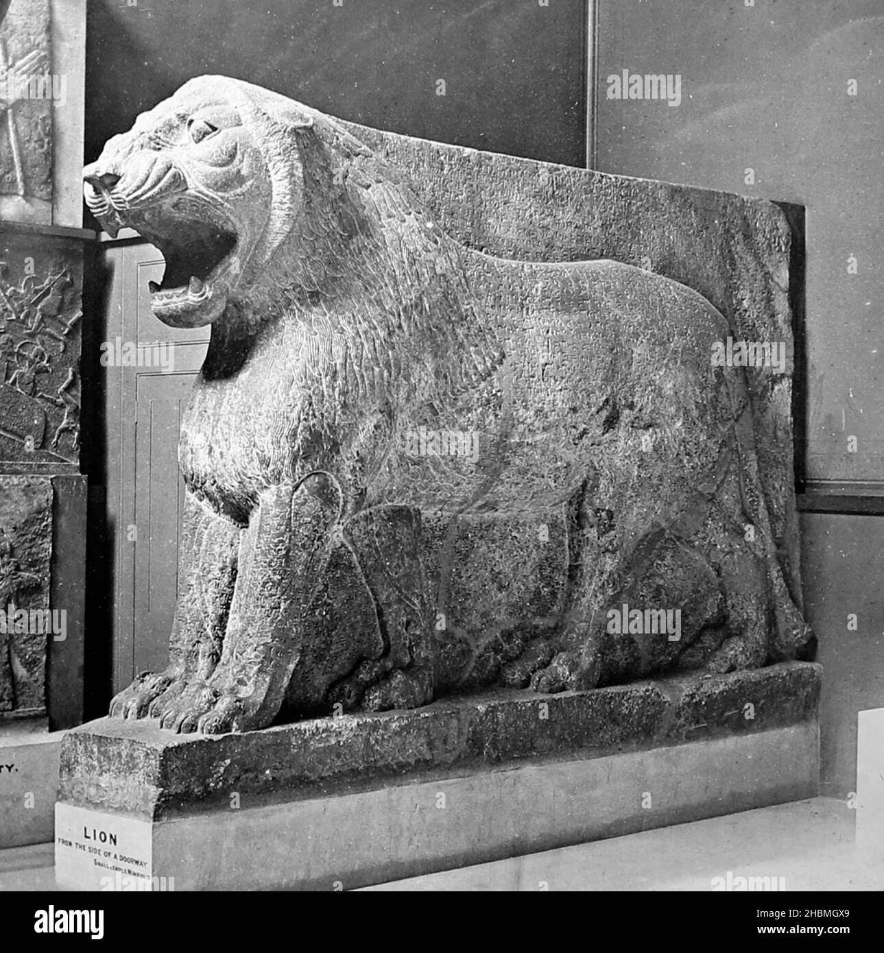Statue of lion, Nimroud, British Museum, Victorian period Stock Photo ...