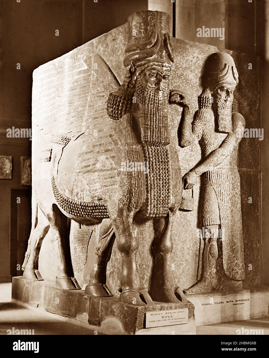 Bull British Museum High Resolution Stock Photography and Images - Alamy