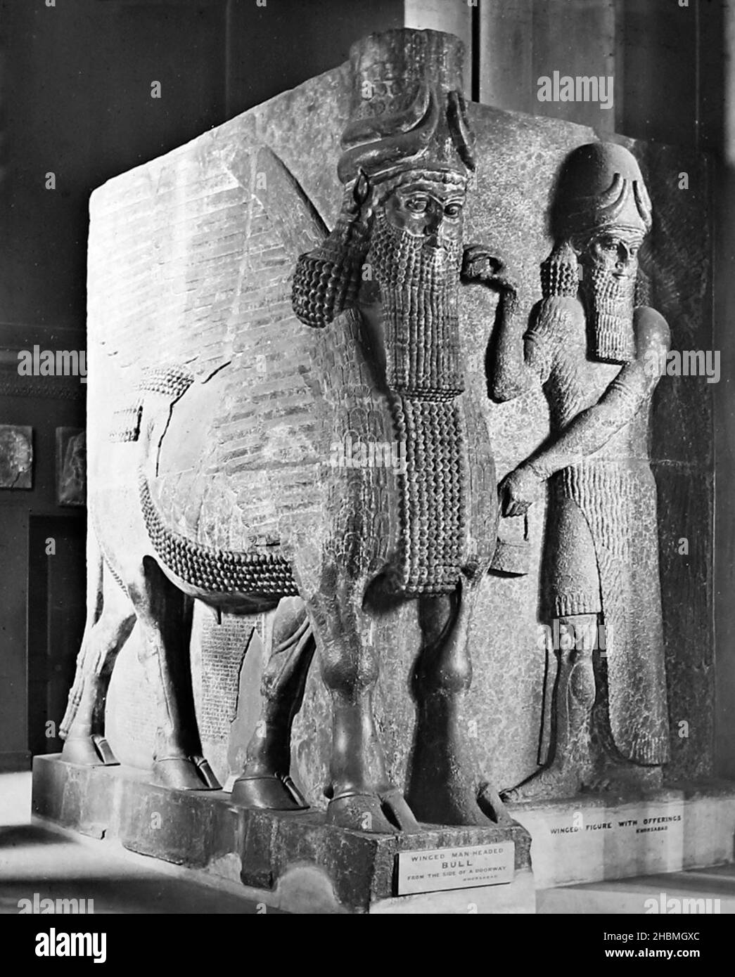 Bull british museum hi-res stock photography and images - Alamy