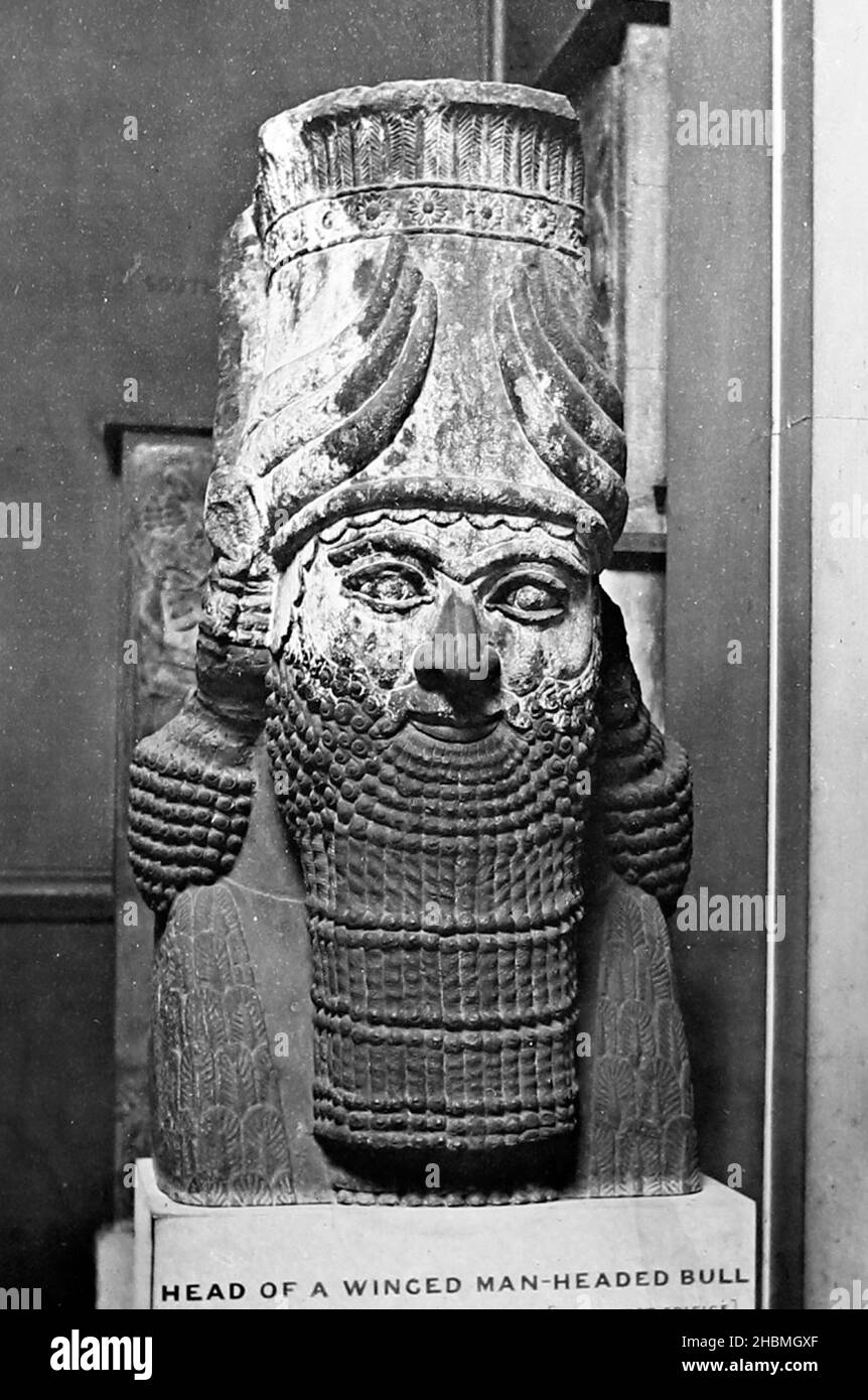 Man headed bull hi-res stock photography and images - Alamy