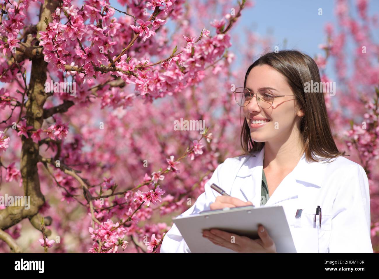 Happy biologist checking flowers of pink peach trees and taking notes ...