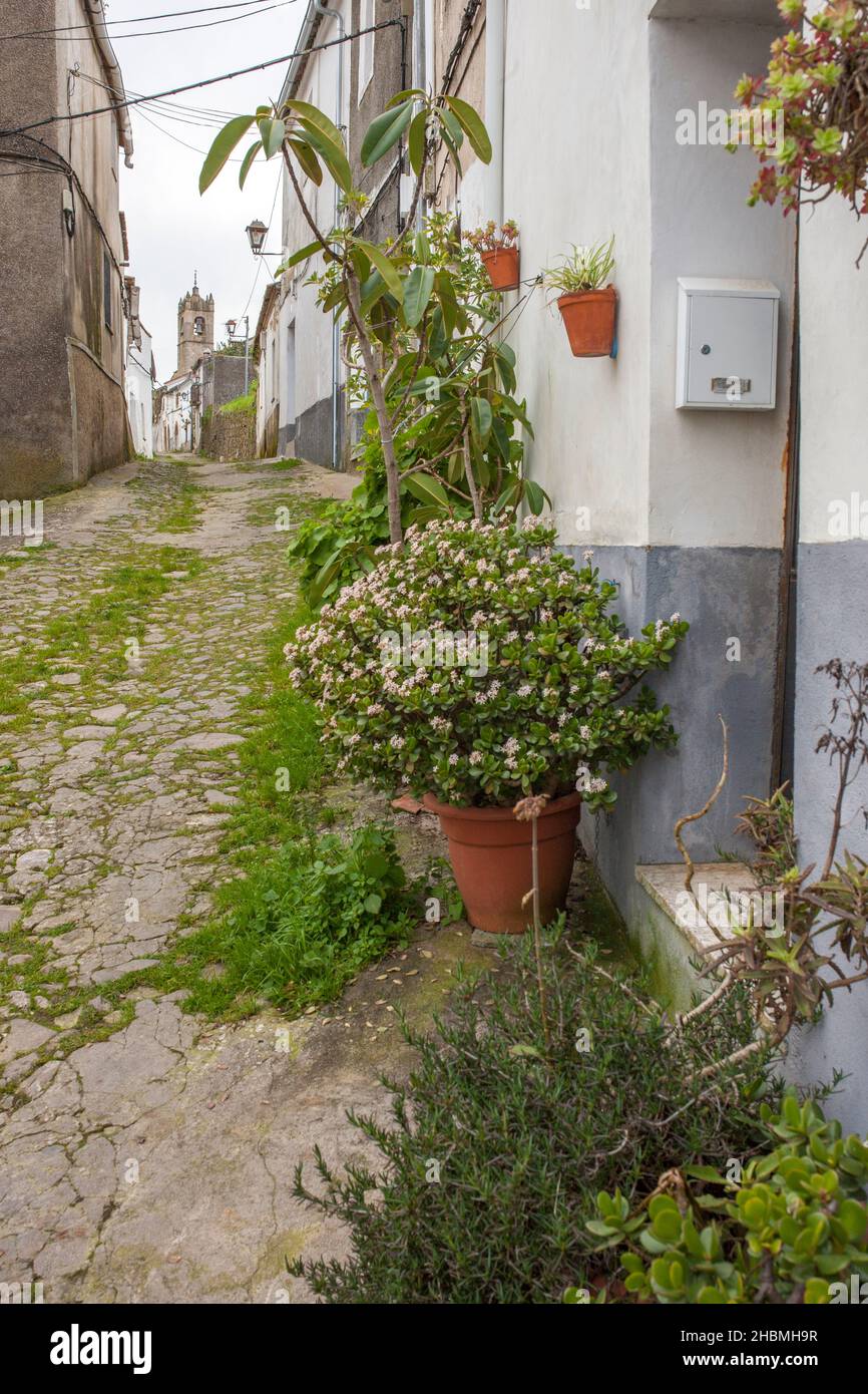 Medieval enclosure hi-res stock photography and images - Alamy