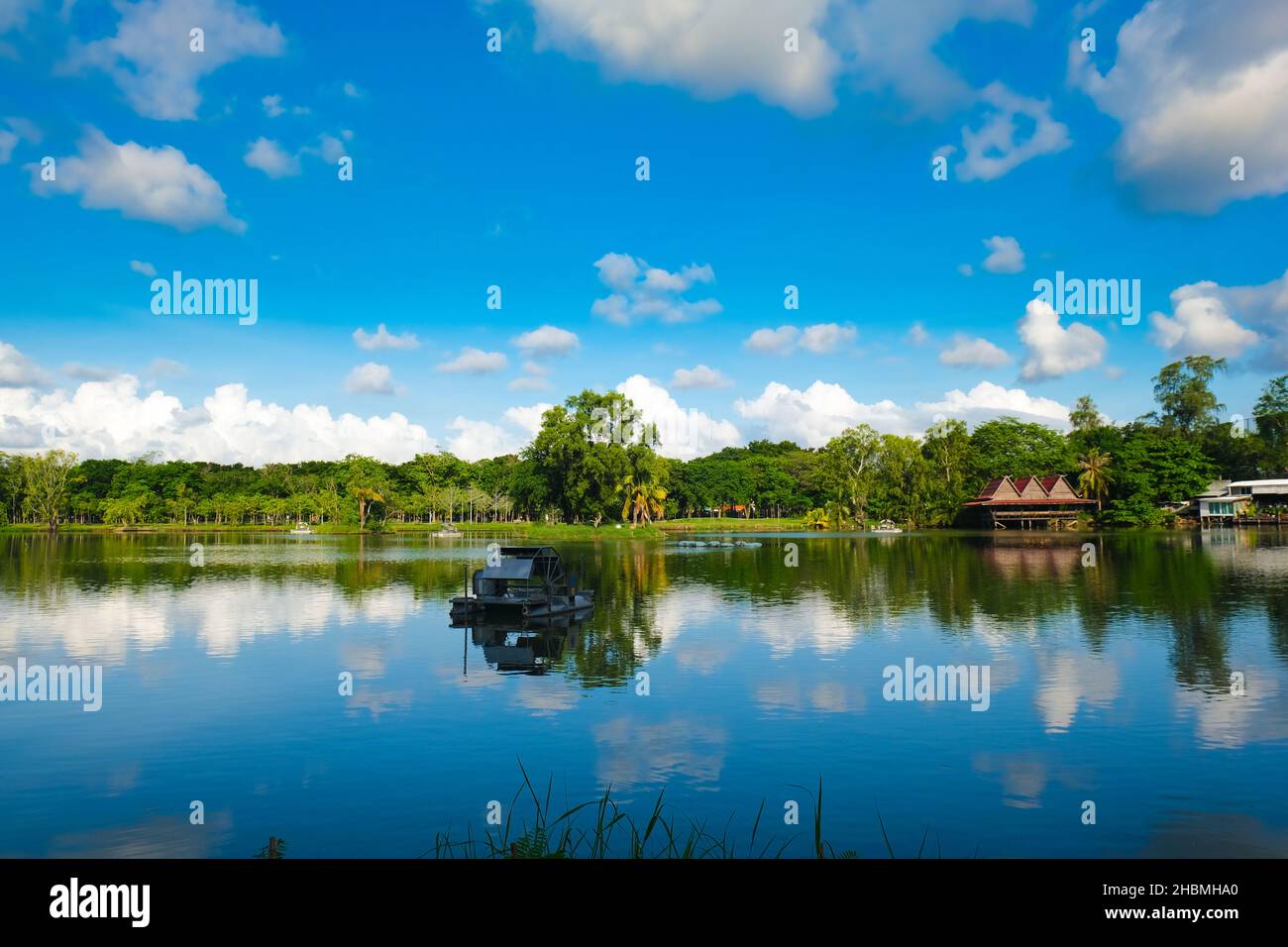 Green tree park meadow pool against blue sky with cloud nature ...