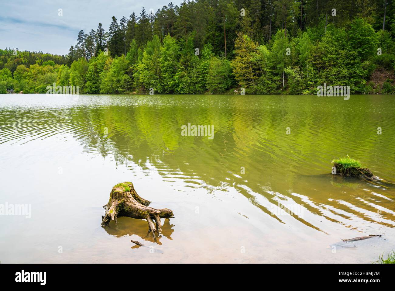 Germany, Silent lake water of Herrenbachstausee reflecting green forest ...