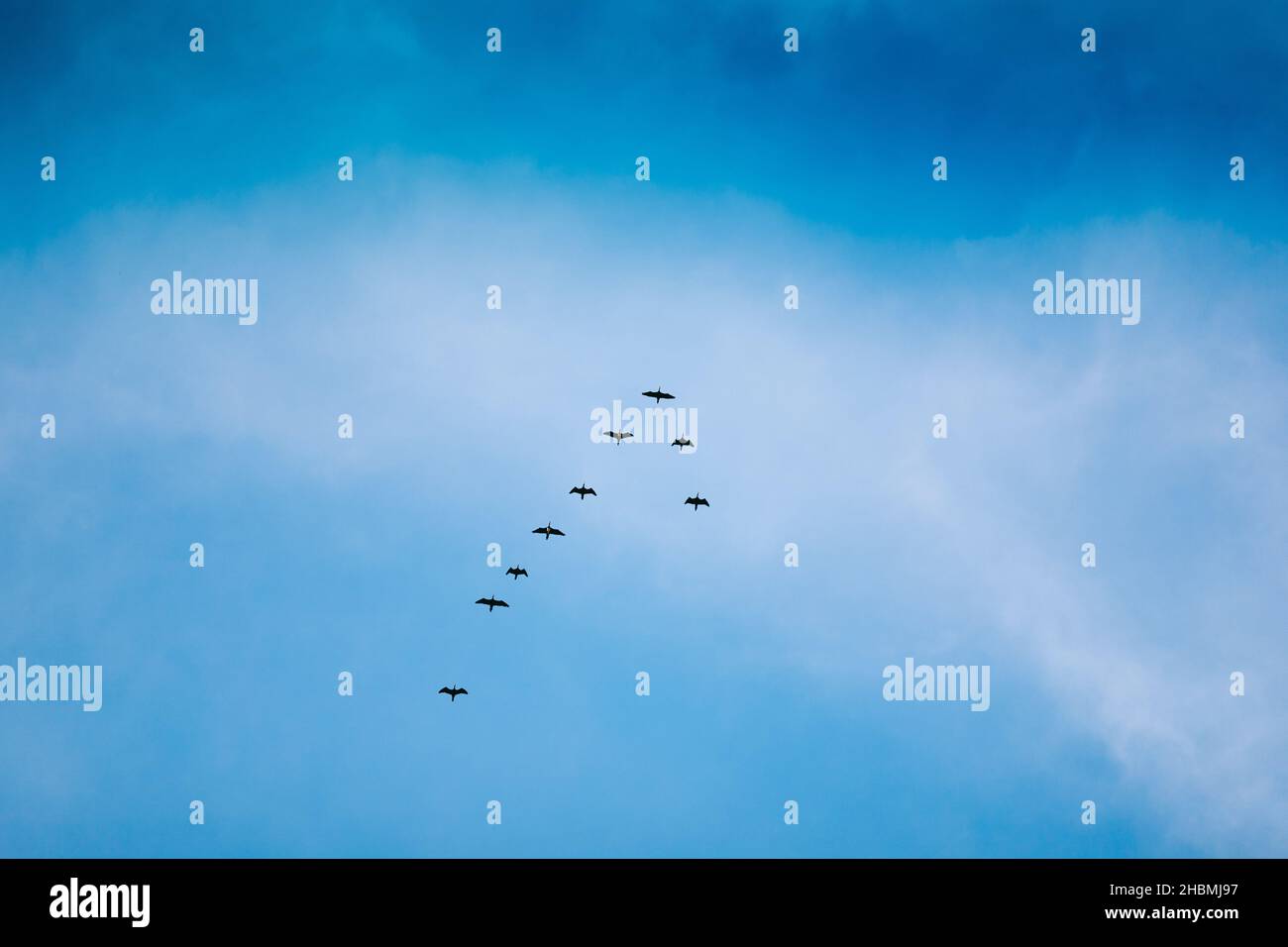 Qinhuangdao holiday hi-res stock photography and images - Alamy