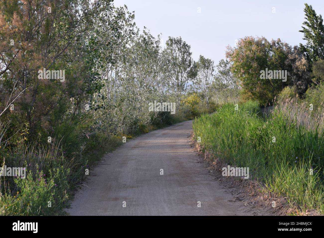 Narrow gravel path hi-res stock photography and images - Alamy