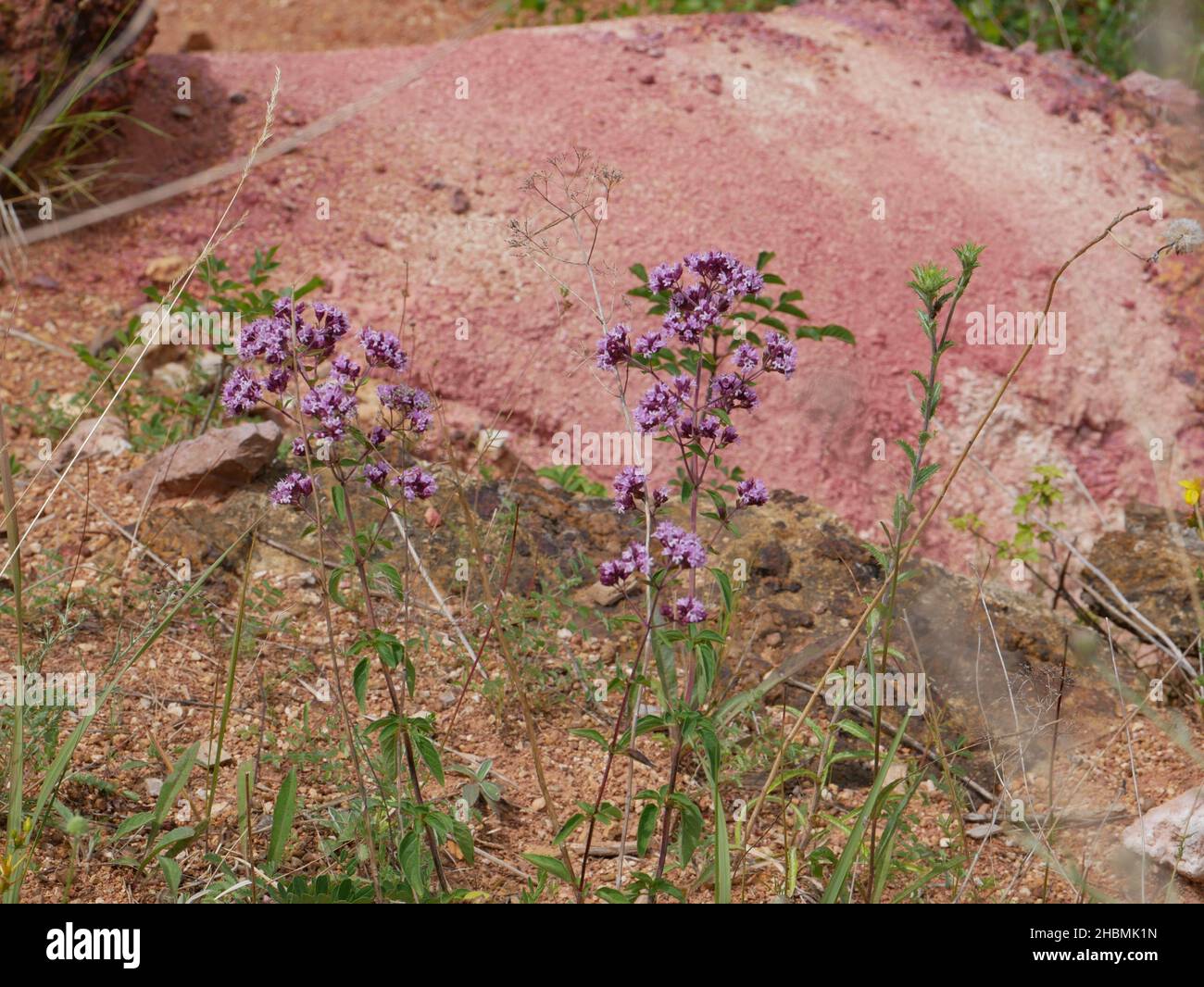 A beautiful view of Red Bauxite mine in Grant, Hungar Stock Photo - Alamy