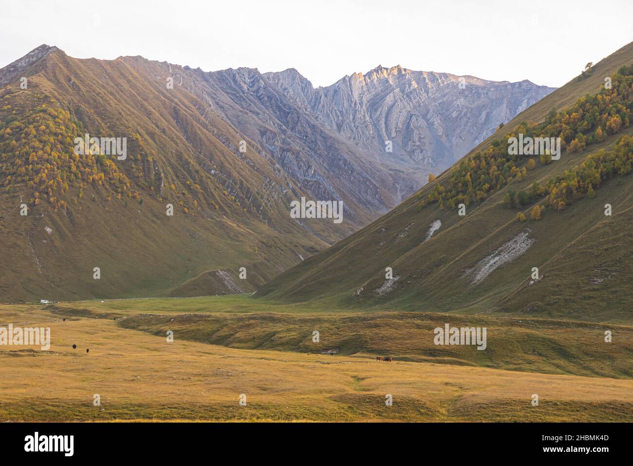 Beautiful panorama of truso valley mountain background. Georgian flora ...