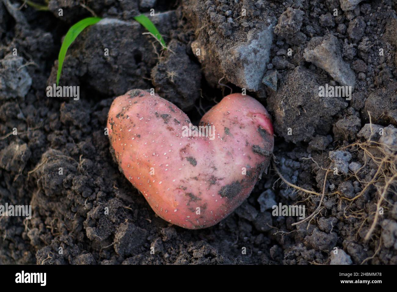 Soil heart shape hi-res stock photography and images - Alamy