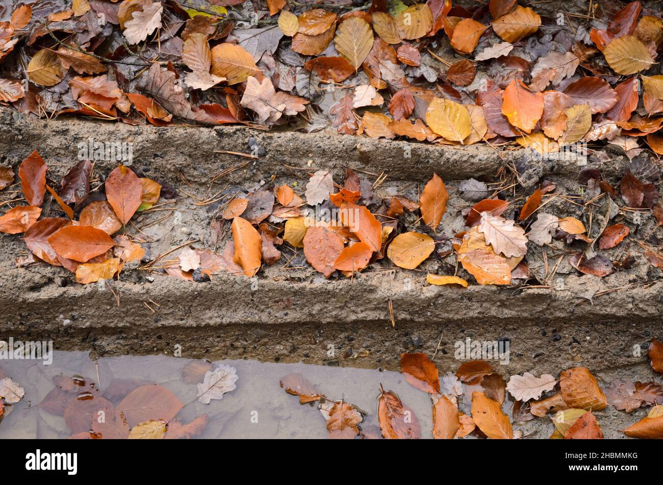 Puddle of mud from above hi-res stock photography and images - Alamy