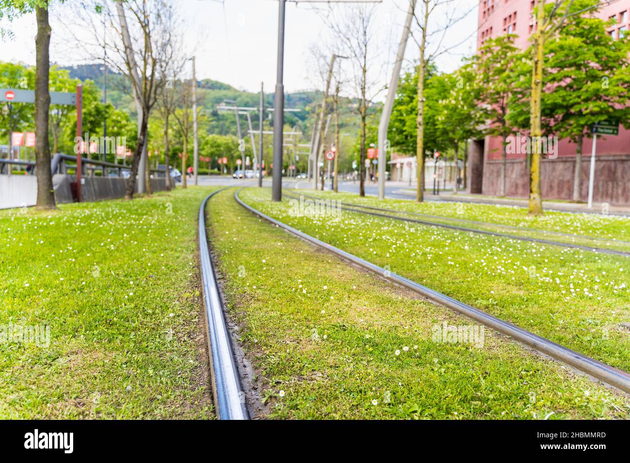 Streetcar rails over green grass in Bilbao city. Tram tracks melted ...