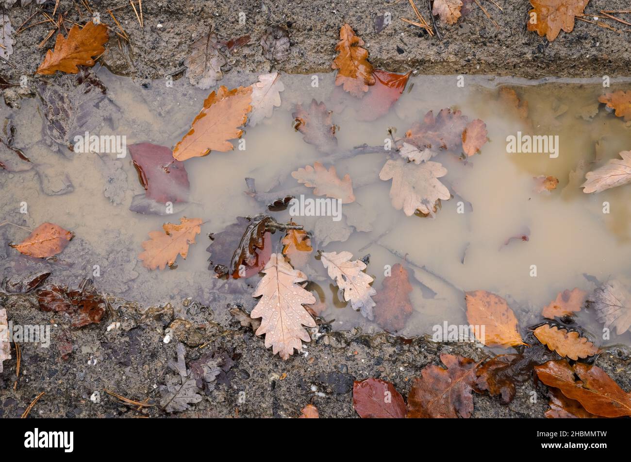Puddle of mud from above hi-res stock photography and images - Alamy