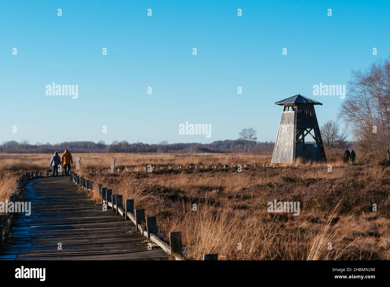 Path and viewing tower in the Großes Torfmoor, a raised bog nature ...