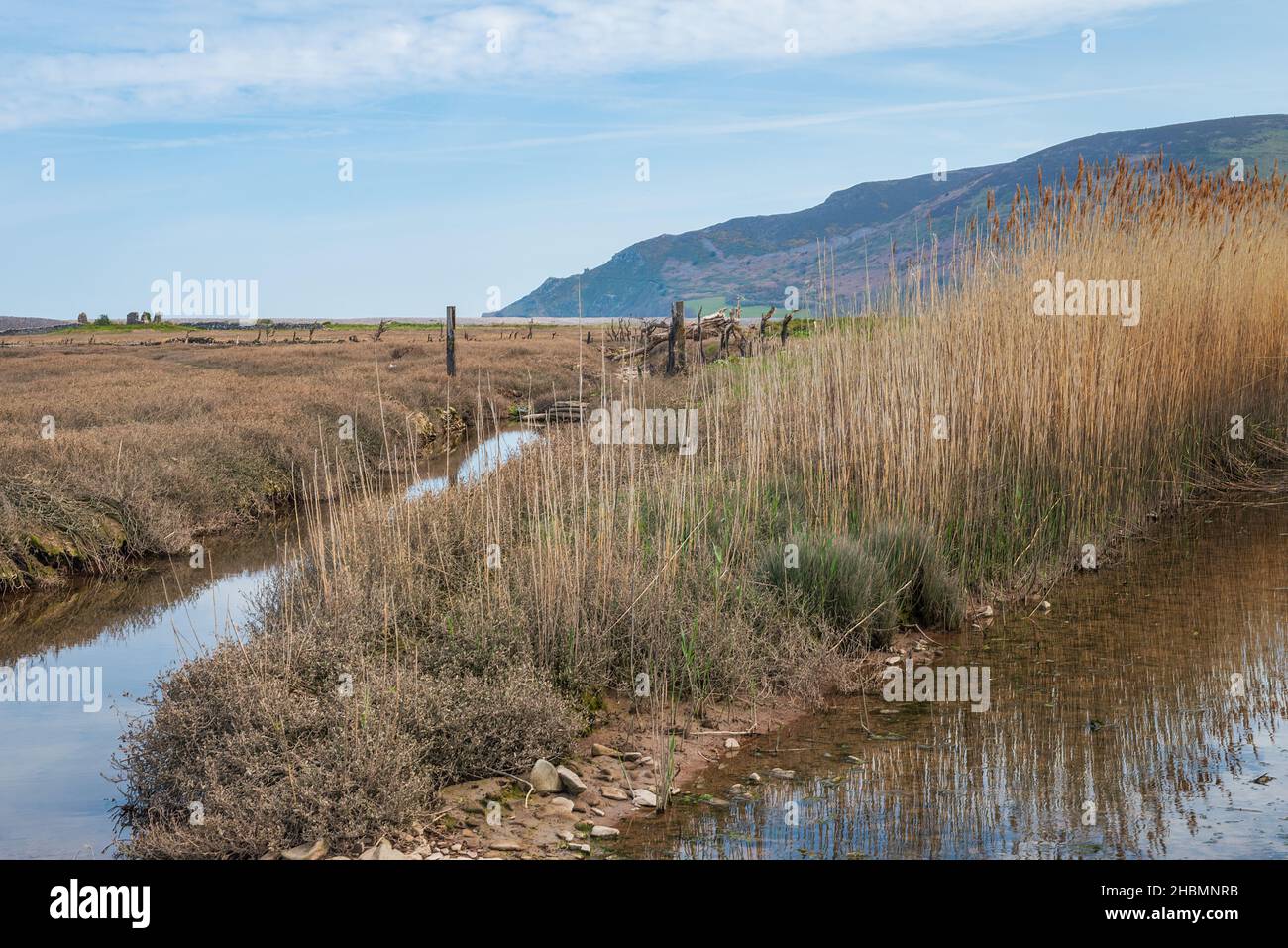A scenic springtime view across the salt marshes in Porlock Bay in ...