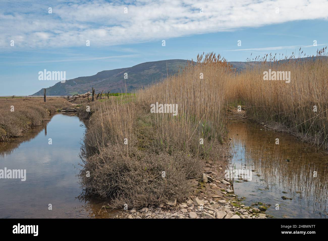 A scenic springtime view across the salt marshes in Porlock Bay in ...