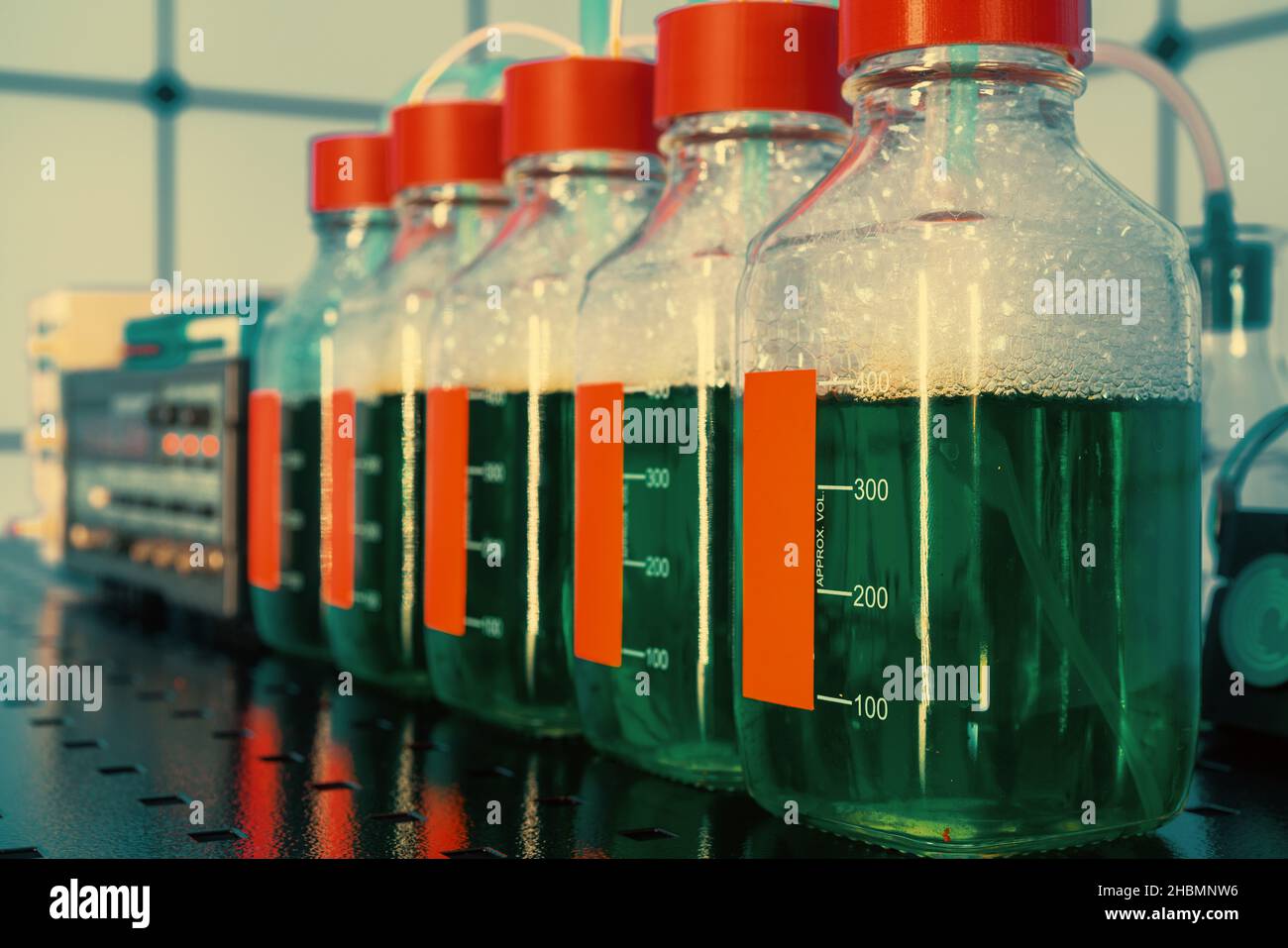 Experiments with obtaining electricity and bacteria processing ...