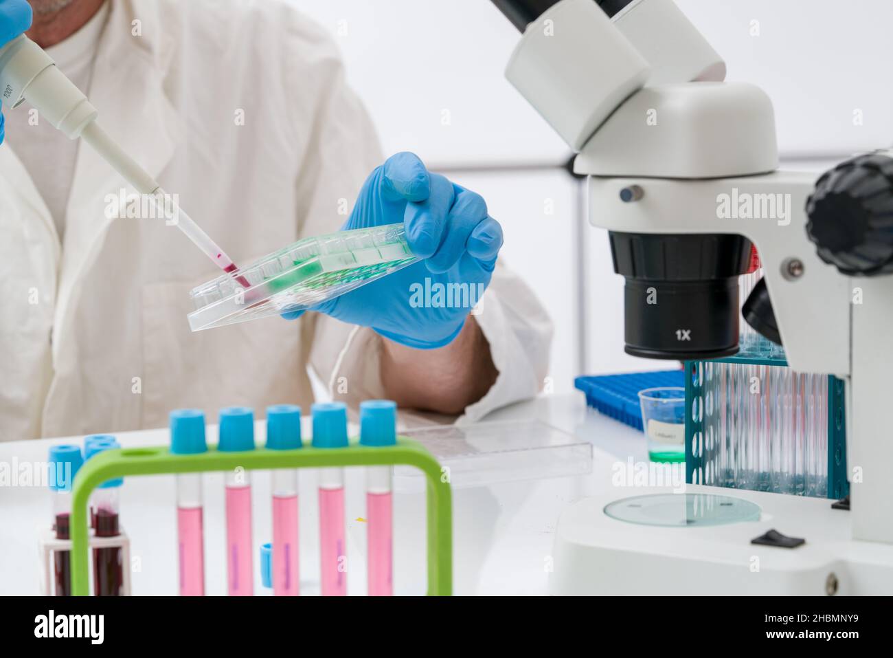 Experiment in the genetic laboratory for growing artificial organs ...