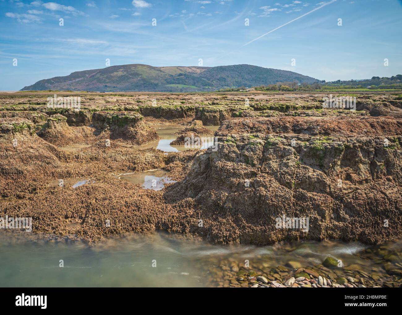 A scenic springtime view across the salt marshes in Porlock Bay in ...