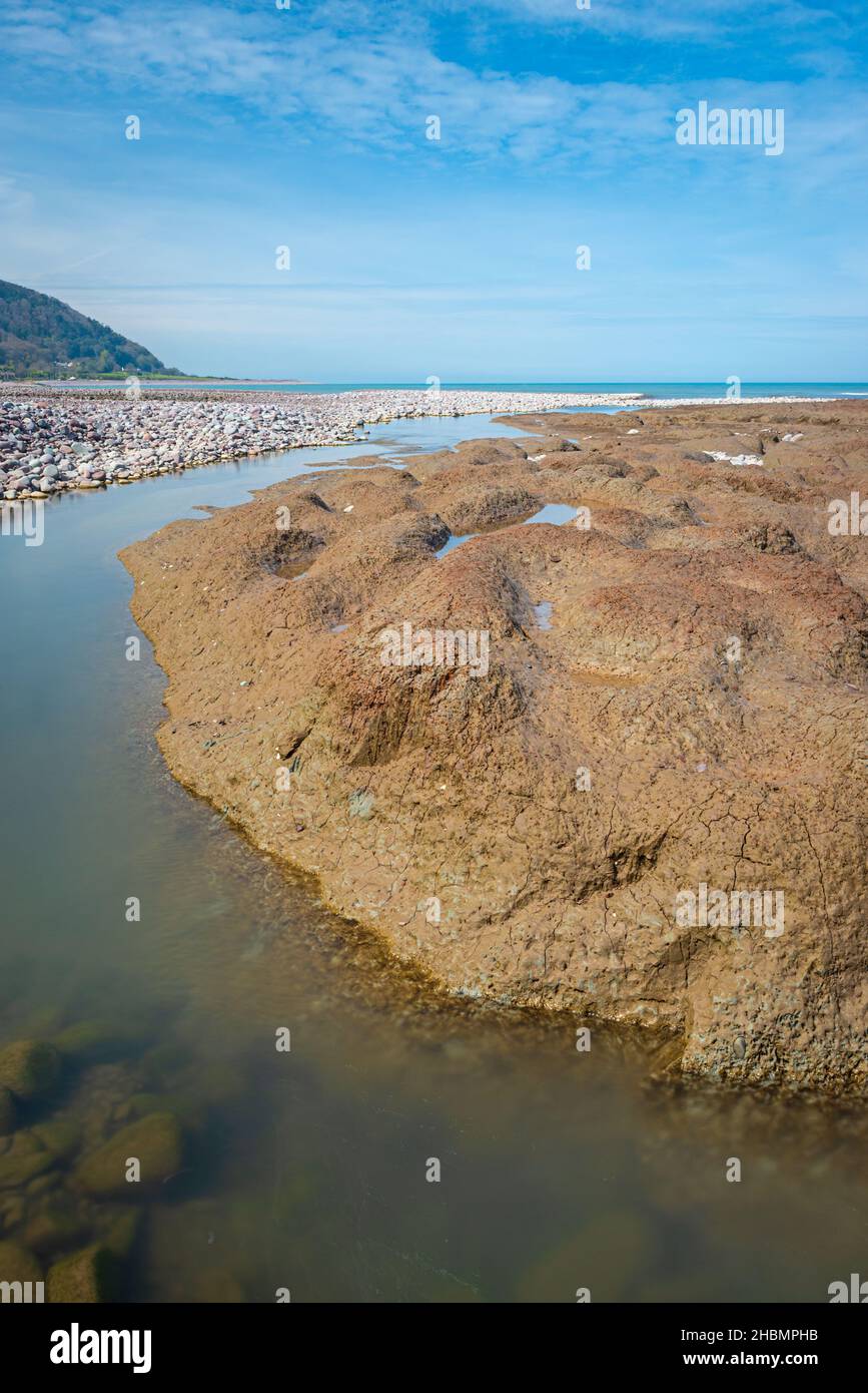 A scenic springtime view across the salt marshes in Porlock Bay in ...