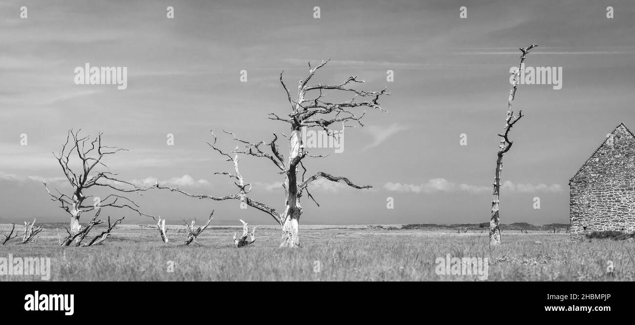 A scenic springtime view across the salt marshes in Porlock Bay in ...