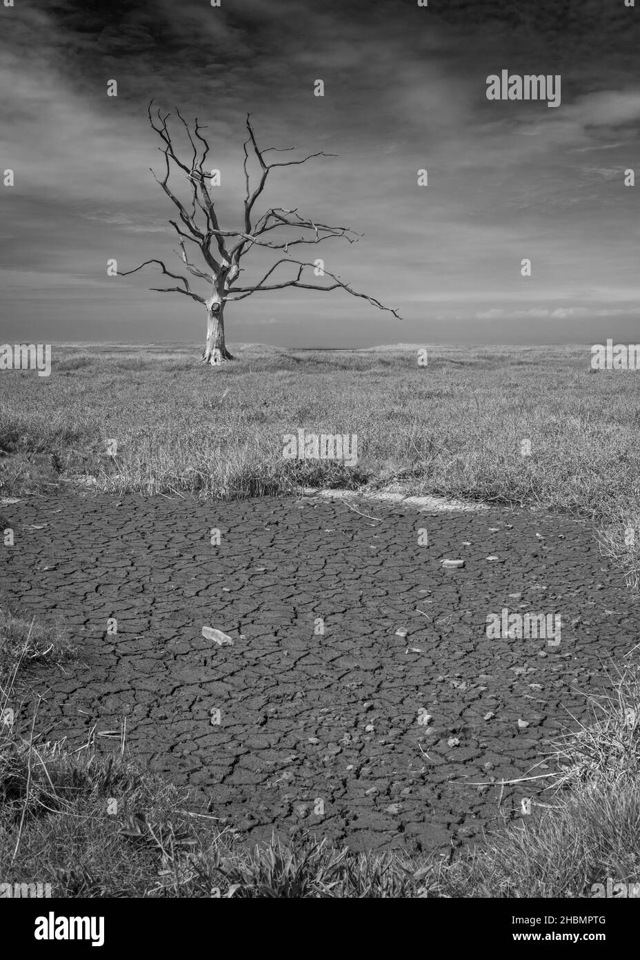 A scenic springtime view across the salt marshes in Porlock Bay in ...