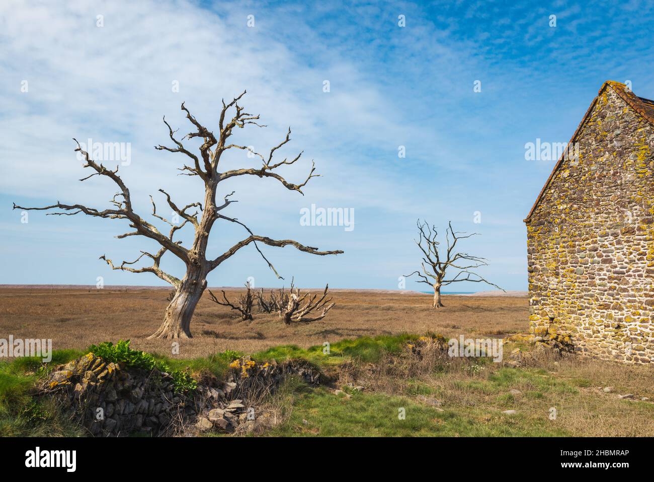 A scenic springtime view across the salt marshes in Porlock Bay in ...