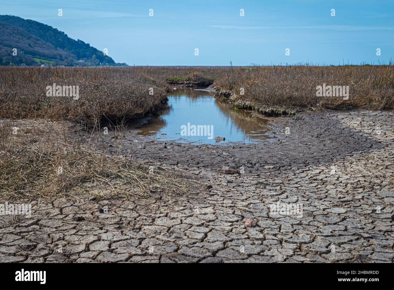 A scenic springtime view across the salt marshes in Porlock Bay in ...