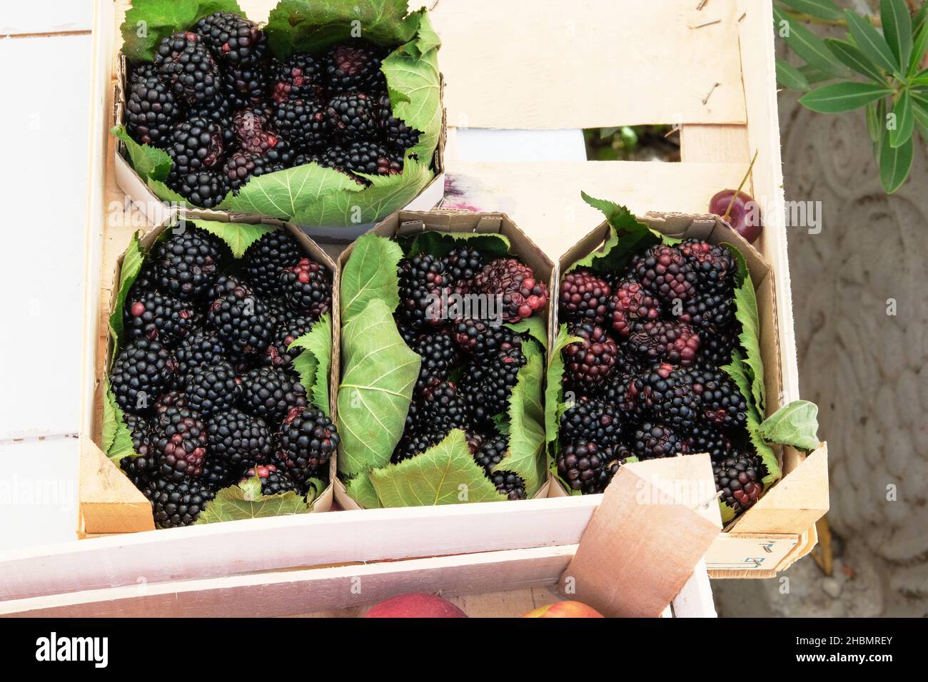 Blackberry in boxes from farmers local market. Healthy local organic ...