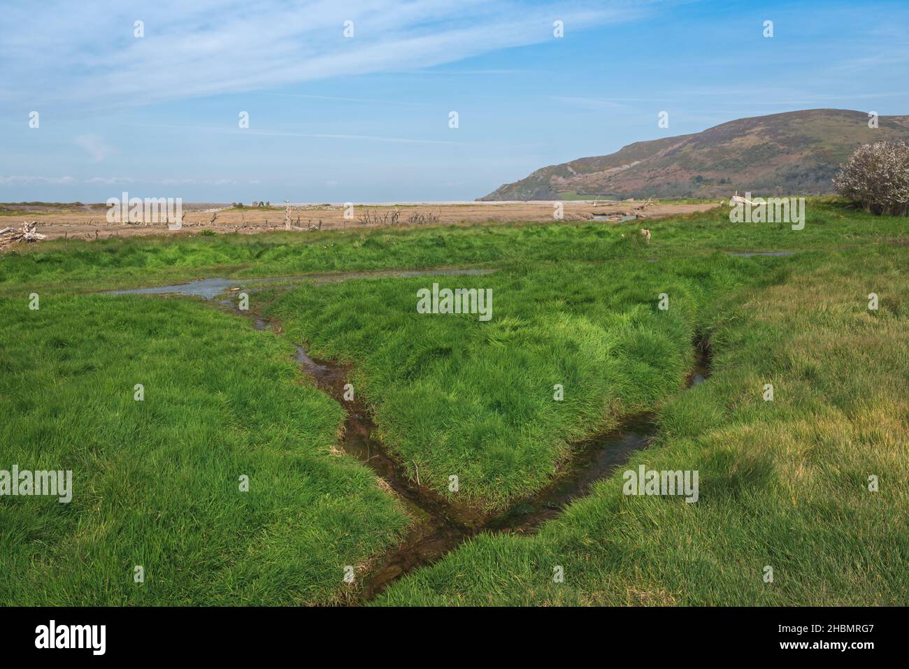 A scenic springtime view across the salt marshes in Porlock Bay in ...