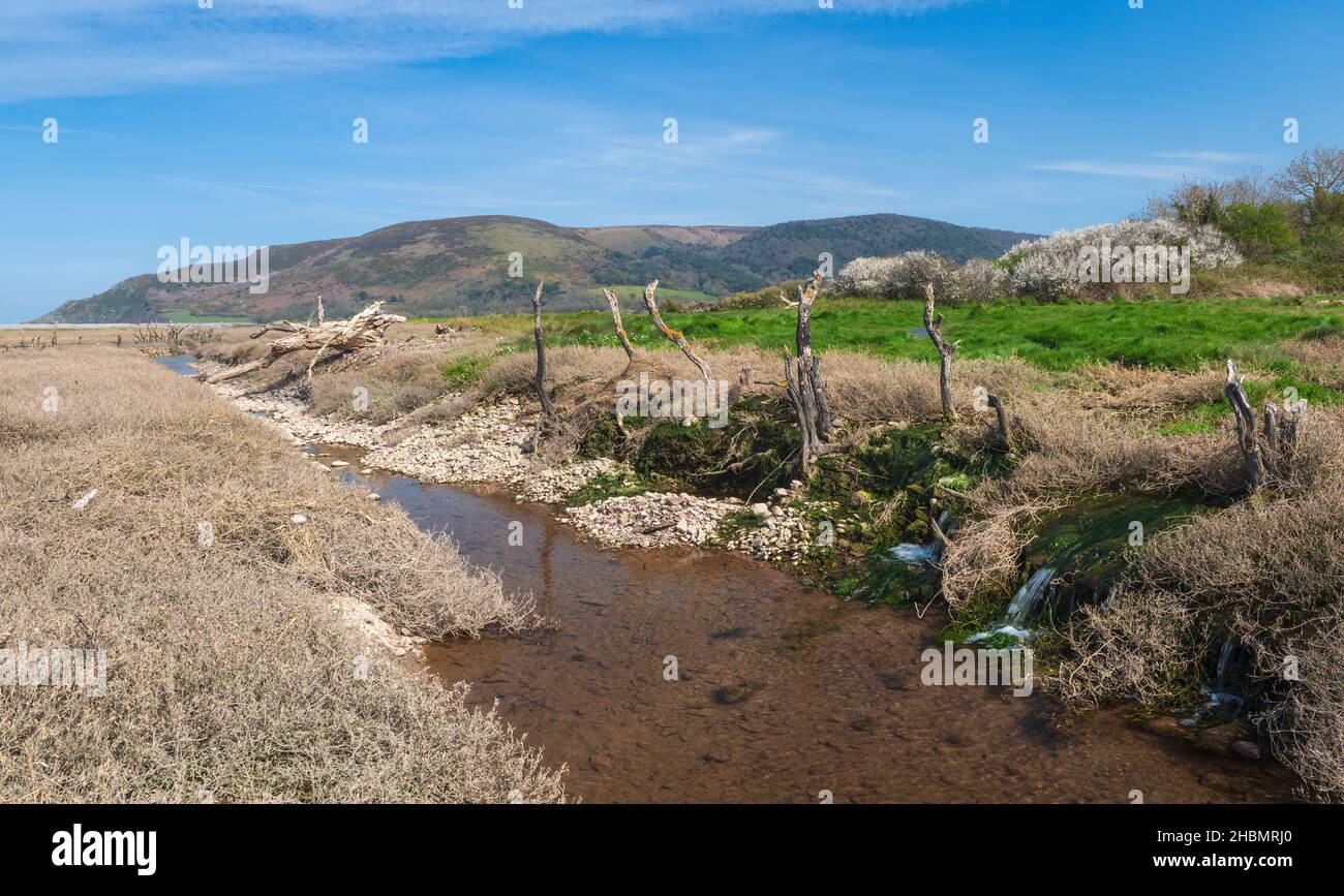 A scenic springtime view across the salt marshes in Porlock Bay in ...