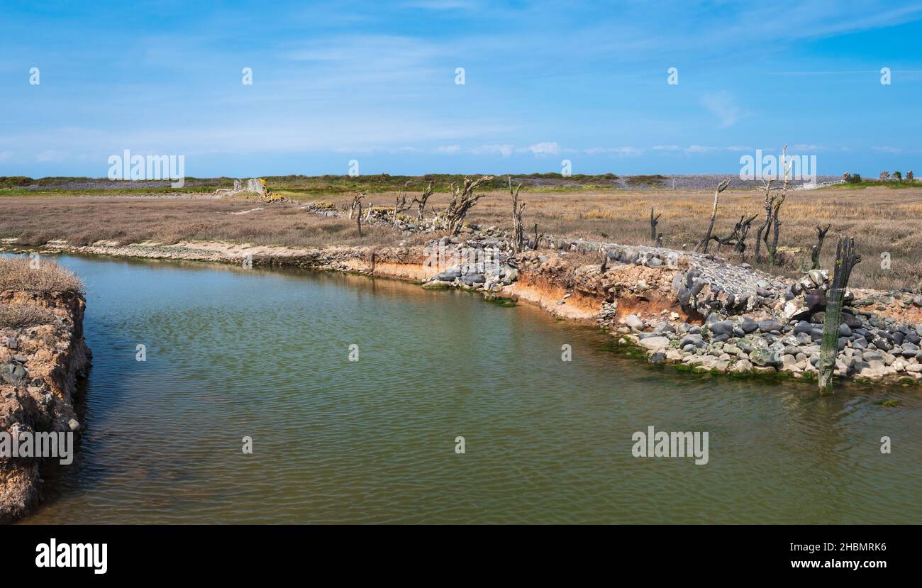 A scenic springtime view across the salt marshes in Porlock Bay in ...