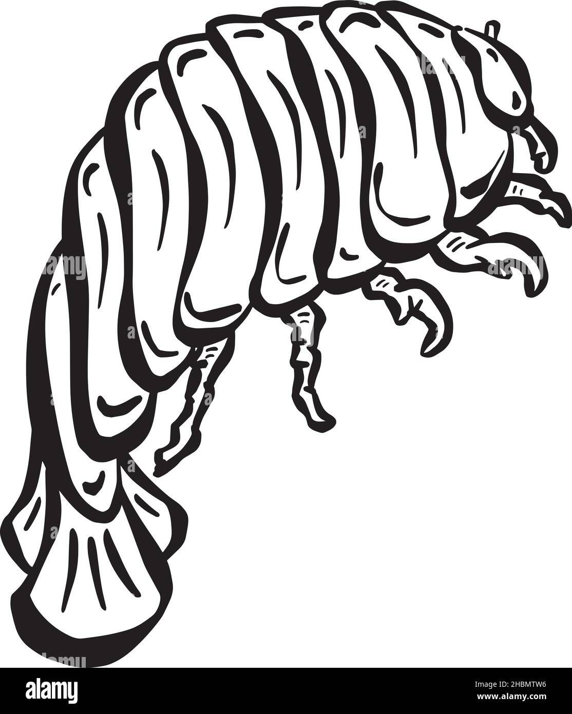 Deep sea isopod Stock Vector Images - Alamy