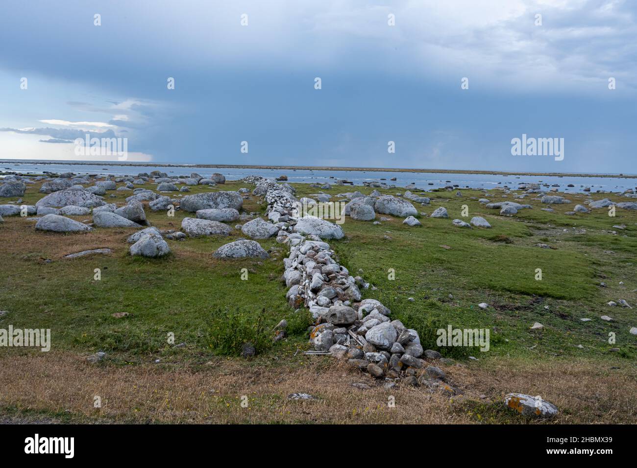 A limestone wall in a moor landscape. Picture from the Baltic Sea ...