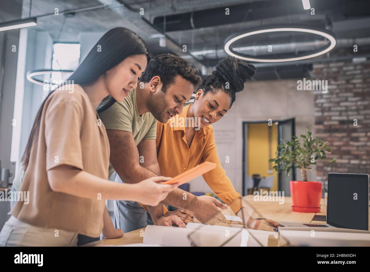 Young people working together on project Stock Photo - Alamy