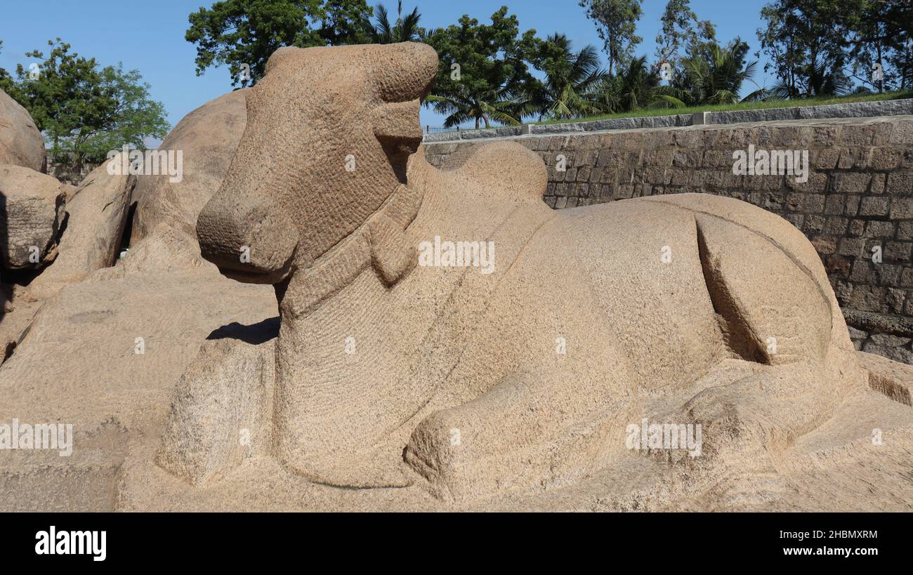A bull carved in stone. It is incomplete. In the middle of rock and ...