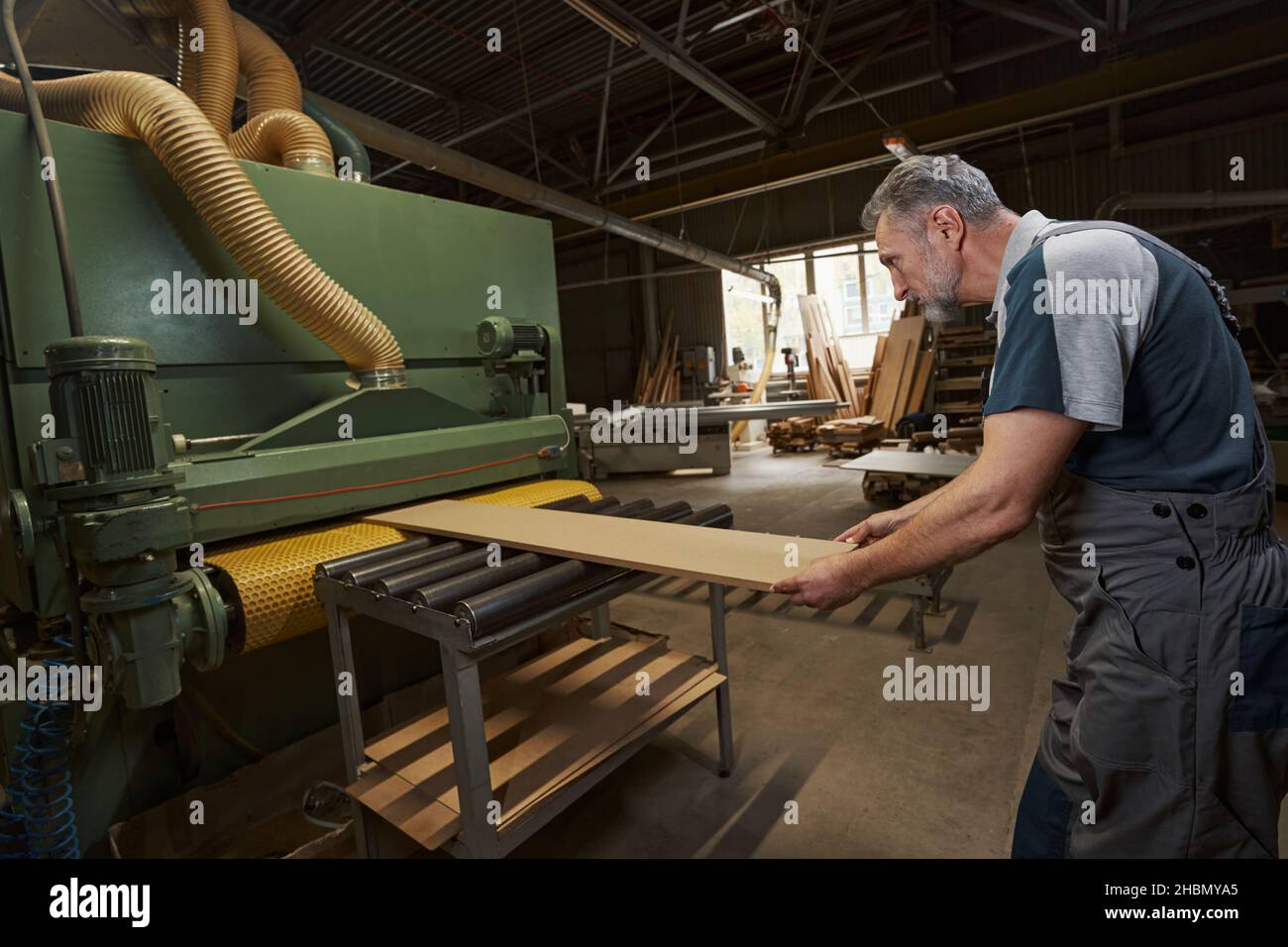 Focused photo on carpenter manufacturing mdf plank Stock Photo - Alamy