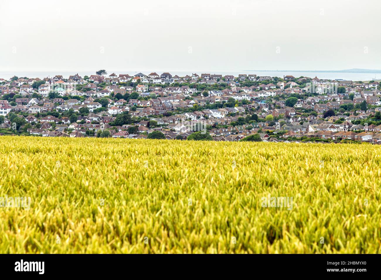 View of houses in the seaside town of Saltdean, East Sussex, UK Stock ...