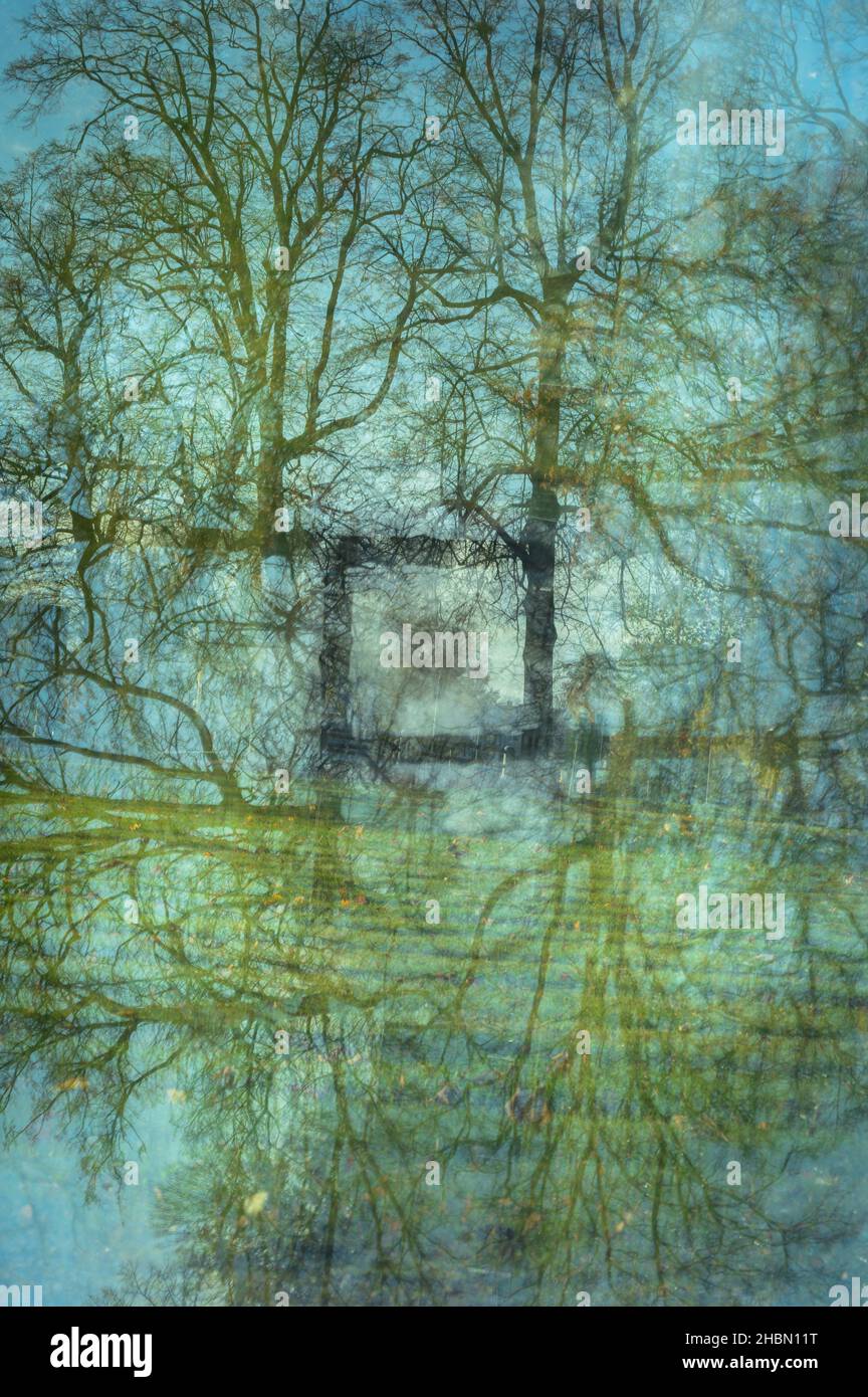 abstraction in nature with a tree forming a square in the center of the ...