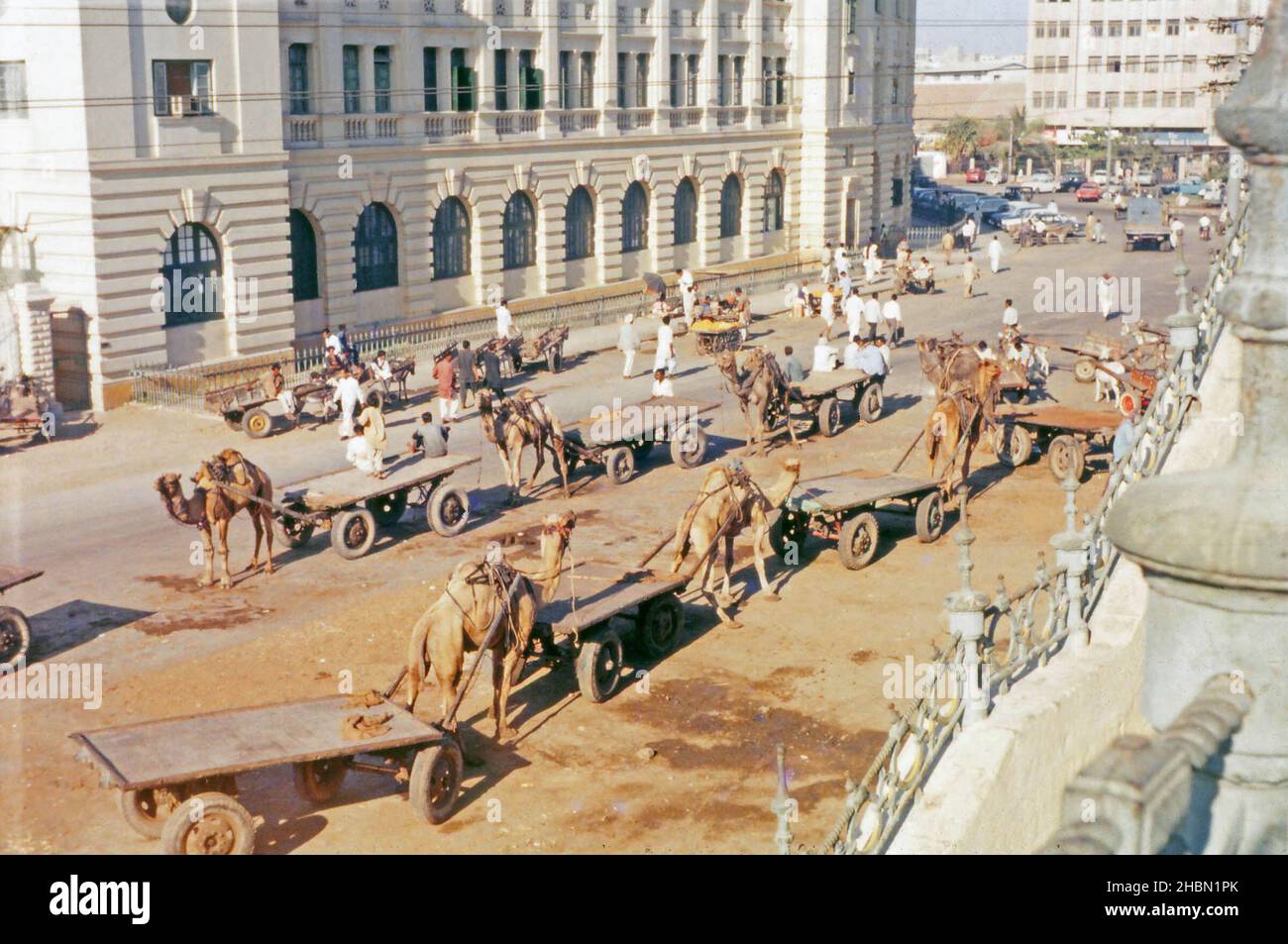 View of a street full of camel carts, Karachi, Pakistan. 14th or 15th ...