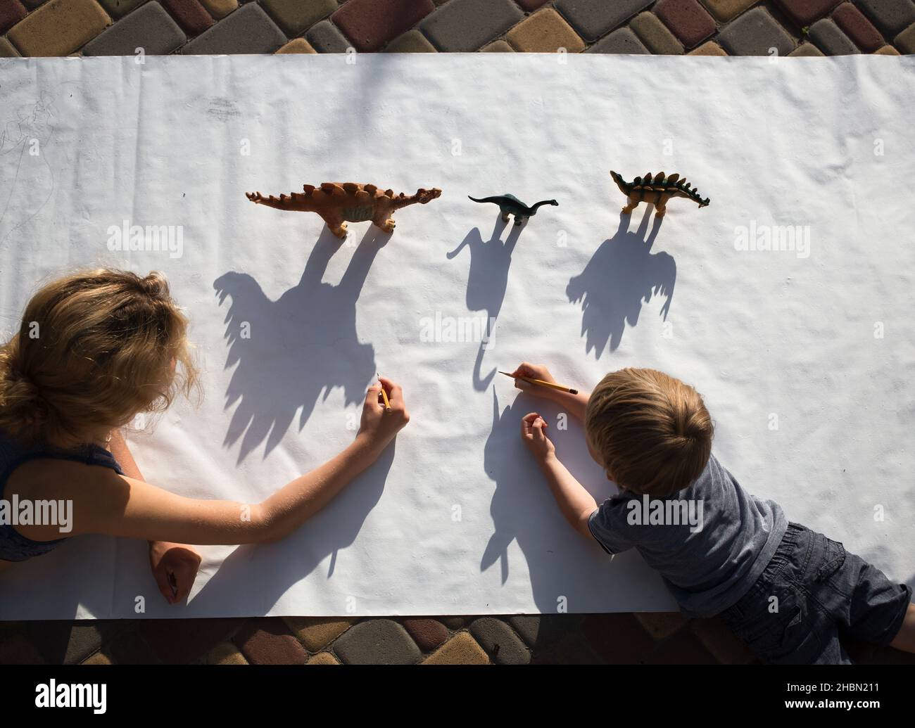 adult and a child draw contrasting shadows from toy dinosaurs. ideas ...